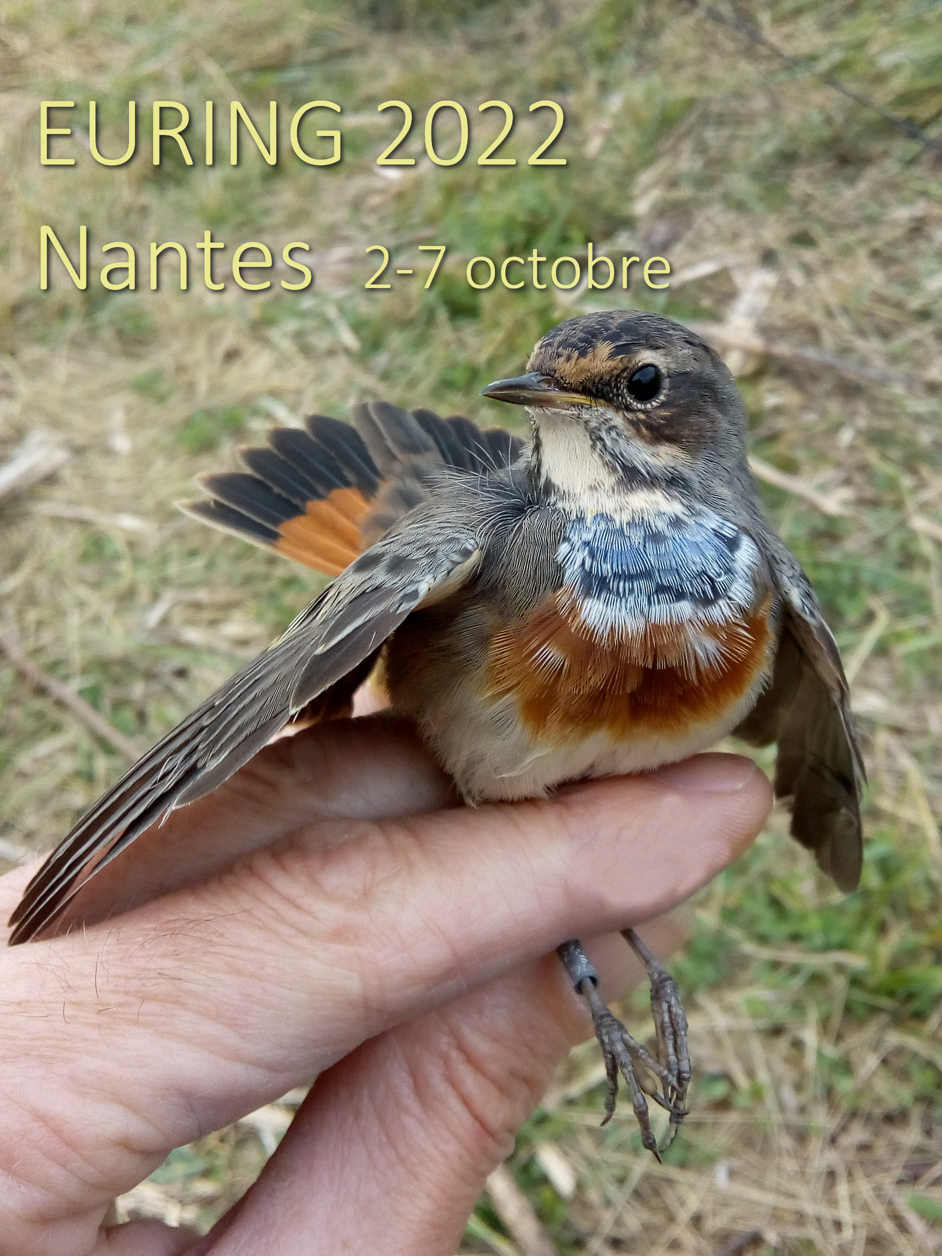 EURING 2022 - Association ACROLA